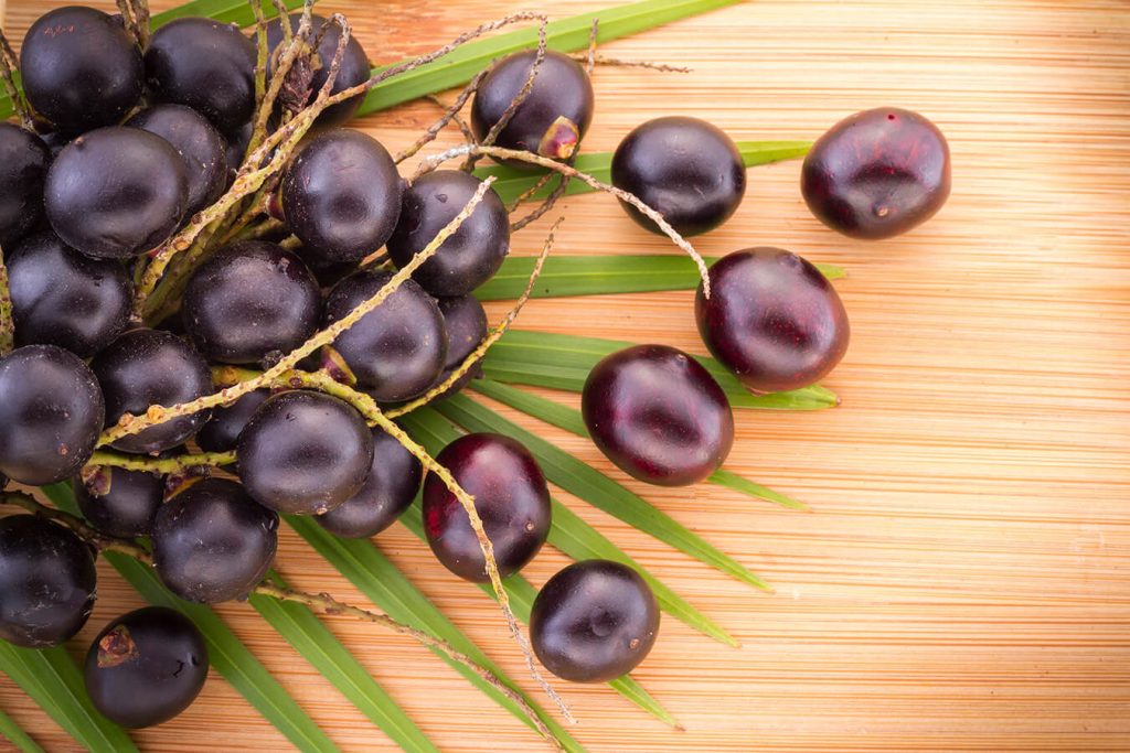 Bacche di Açai: Superfood Ricco di Antiossidanti - La Palestra