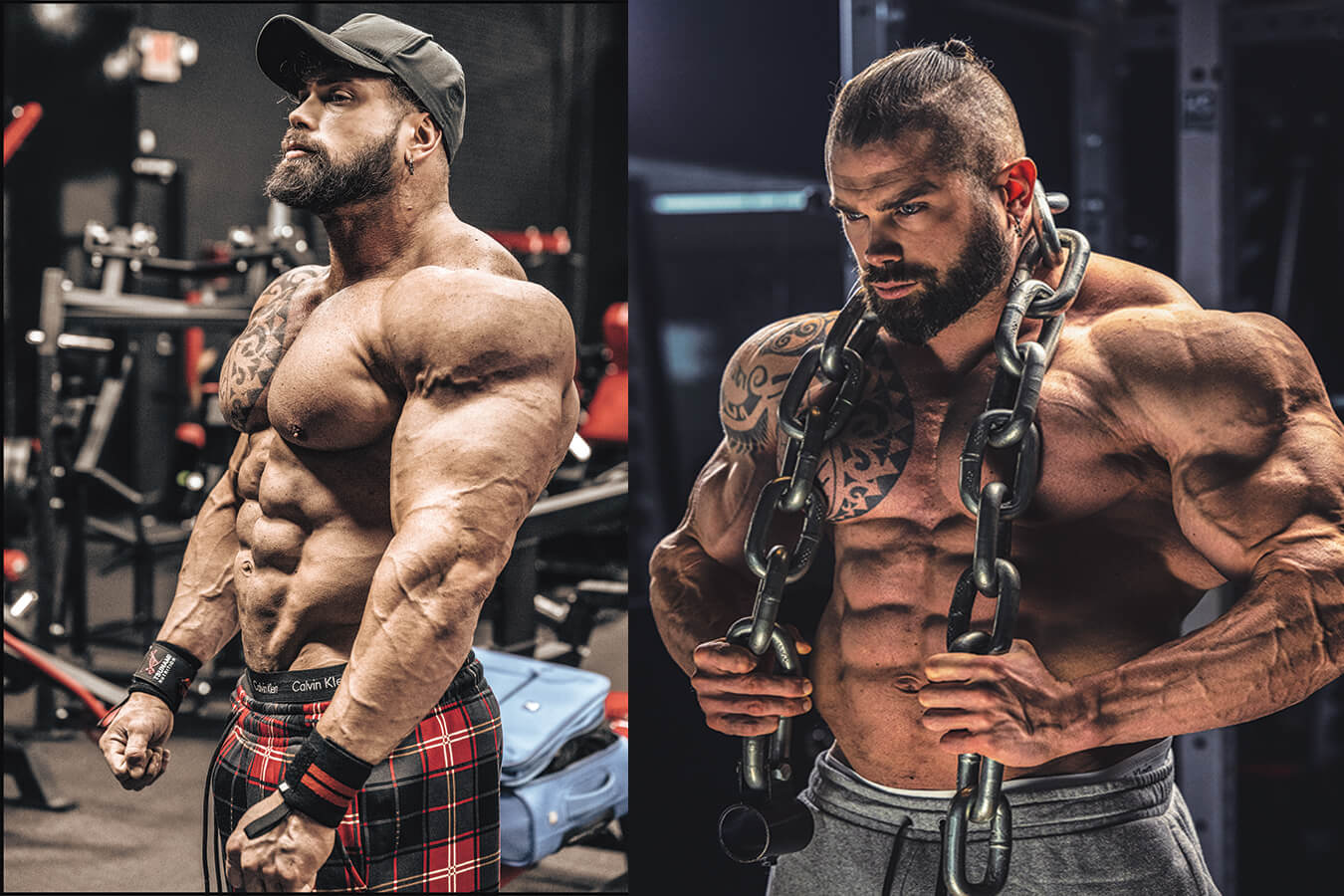 Andrea Presti: Dietro le quinte del Bodybuilding - La Palestra