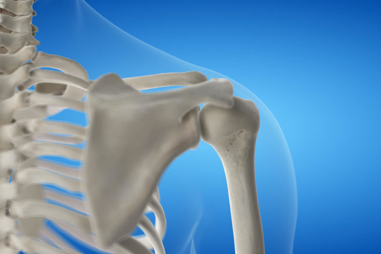 Omero Osso: Una Guida Completa alla Struttura, alle Lesioni - La Palestra