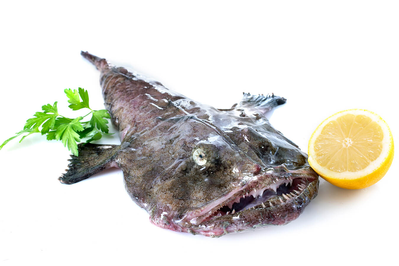 Rana Pescatrice Benefici Differenze E Una Deliziosa Ricetta La Palestra