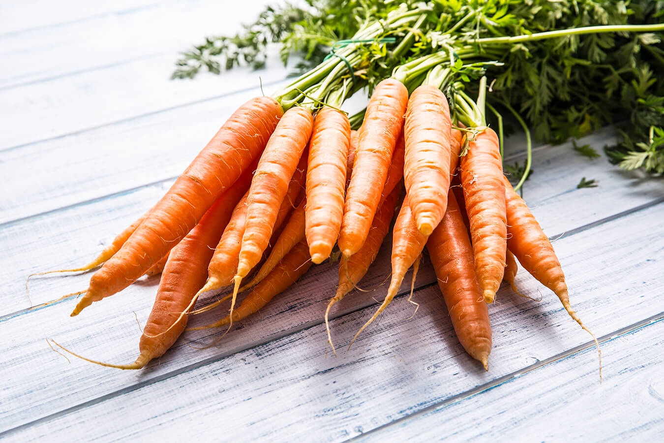 Le calorie delle carote: un alleato prezioso per la tua dieta - La Palestra