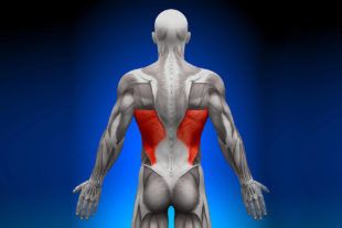 Gran Dorsale: guida completa - La Palestra