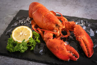 Astice: caratteristiche, benefici e ricette - La Palestra