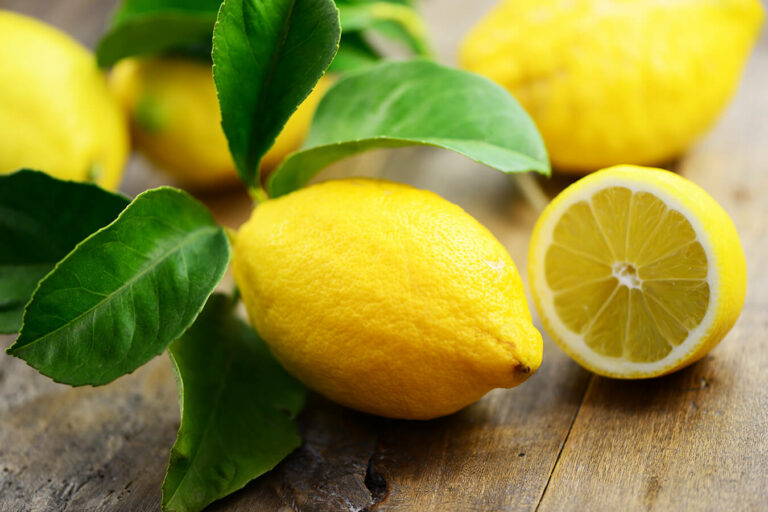Benefici dei limoni essenziali per la salute e il benessere - La Palestra