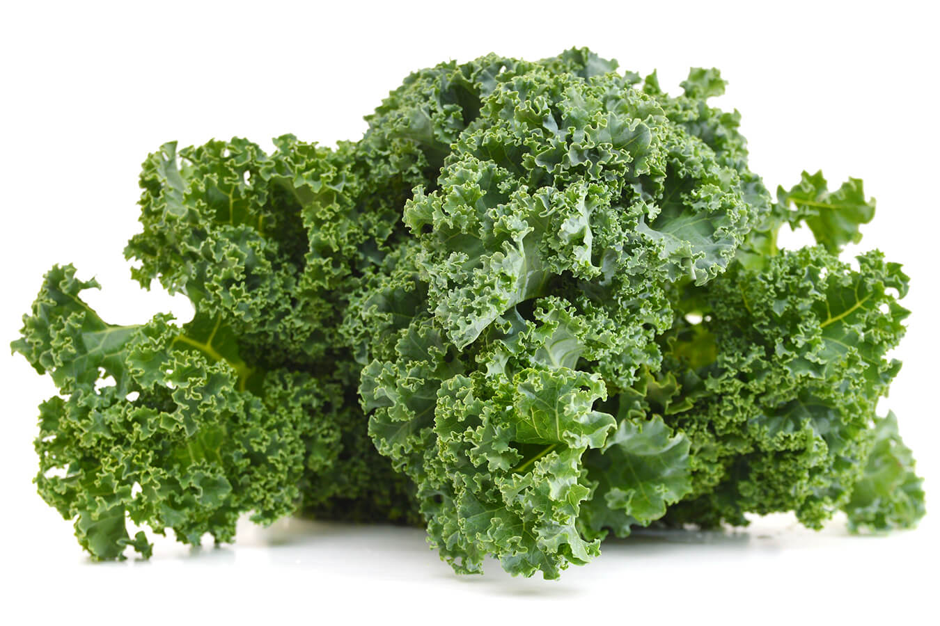 Cavolo Riccio benefici, utilizzi e una ricetta semplice - La Palestra